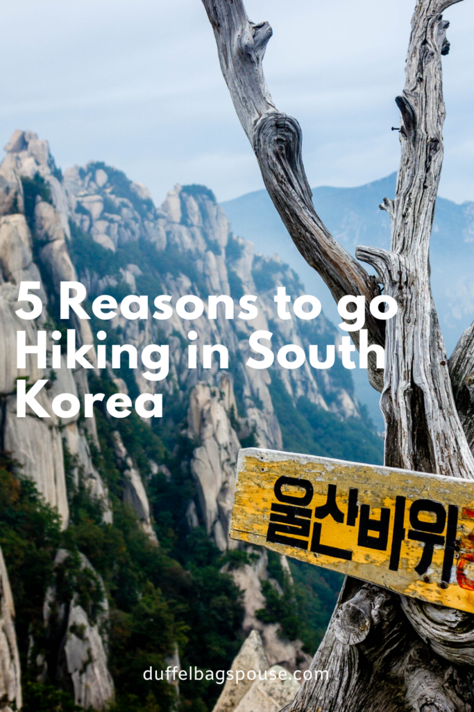 The Best Hiking Trails are in Daegu South Korea | Dbs travels