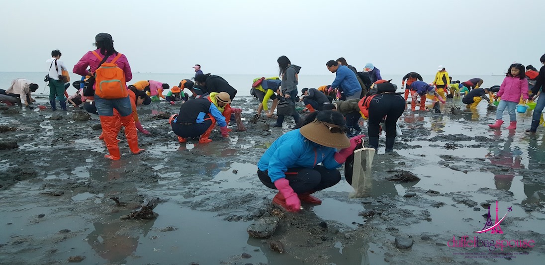 Jindo Miracle Sea Parting Festival | Dbs travels