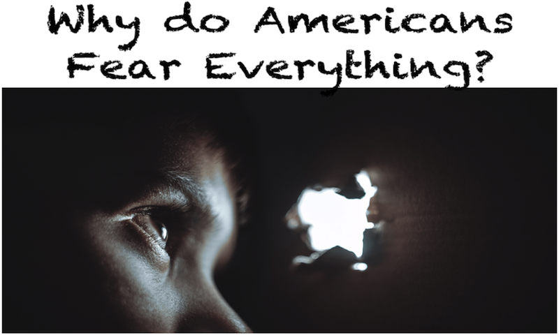 Why do Americans Fear Everything? | Dbs travels
