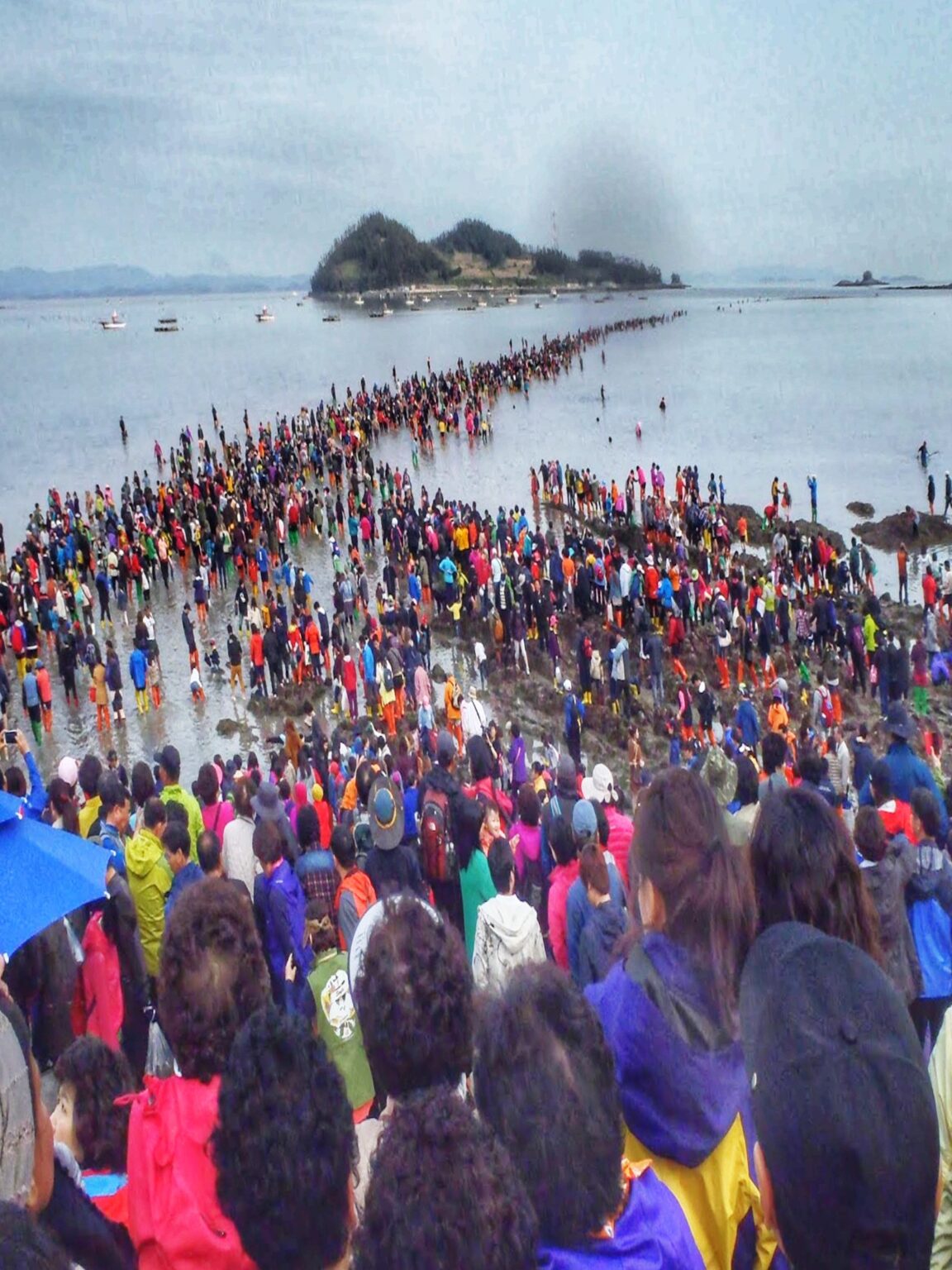 Jindo Miracle Sea Parting Festival | Dbs travels