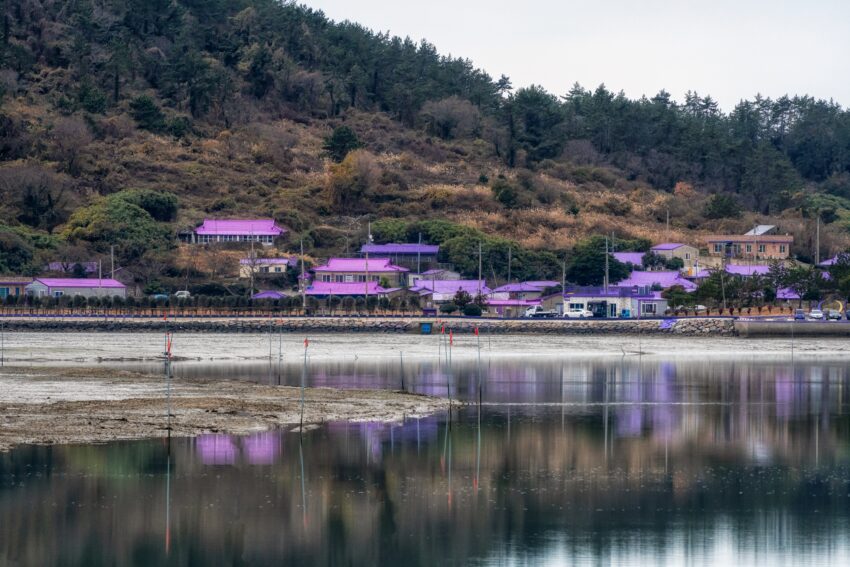 Beyond South Korea's Purple Island: Is it Worth It? | Dbs travels