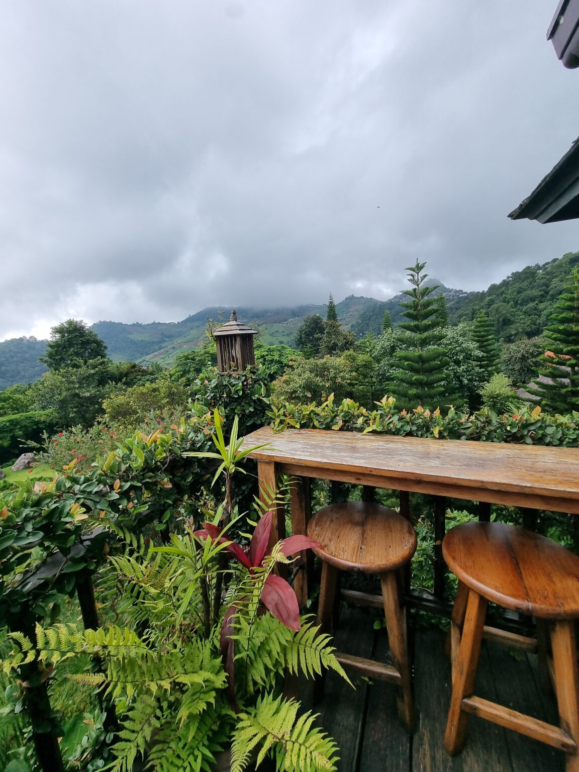 Things to Do in Mon Jam Chiang Mai's Garden of Eden | Dbs travels