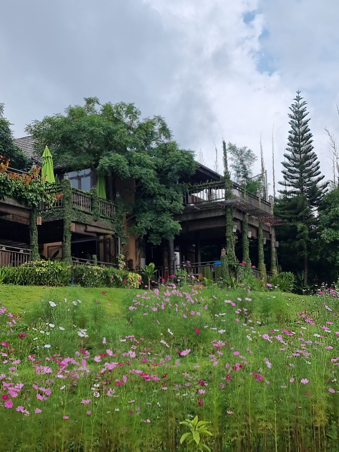 Things to Do in Mon Jam Chiang Mai's Garden of Eden | Dbs travels
