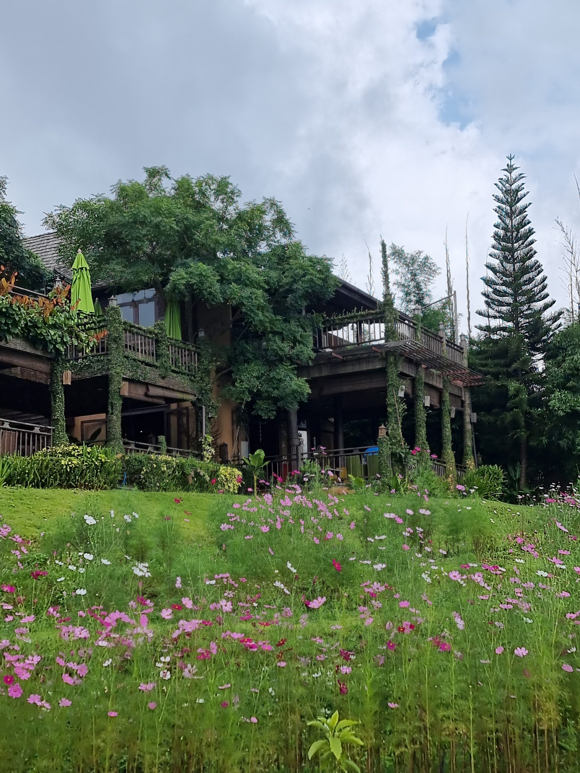 Things to Do in Mon Jam Chiang Mai's Garden of Eden | Dbs travels