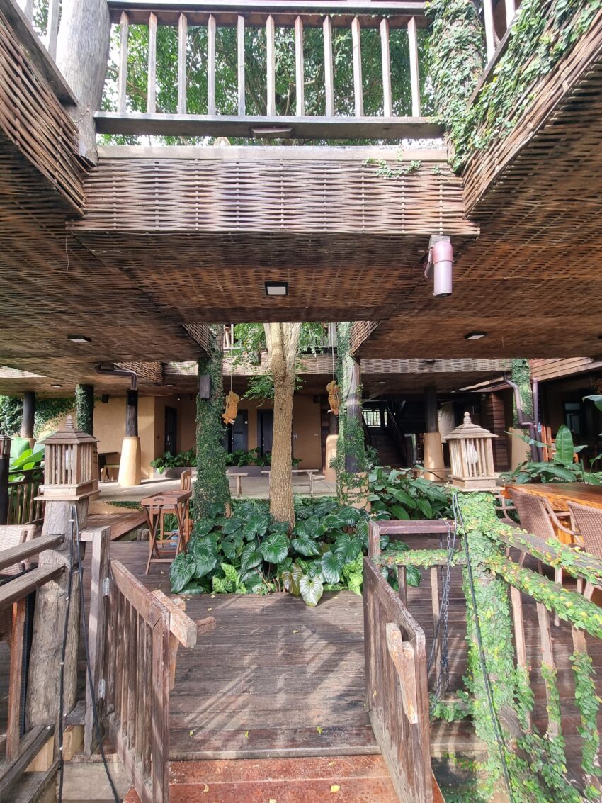 Things to Do in Mon Jam Chiang Mai's Garden of Eden | Dbs travels