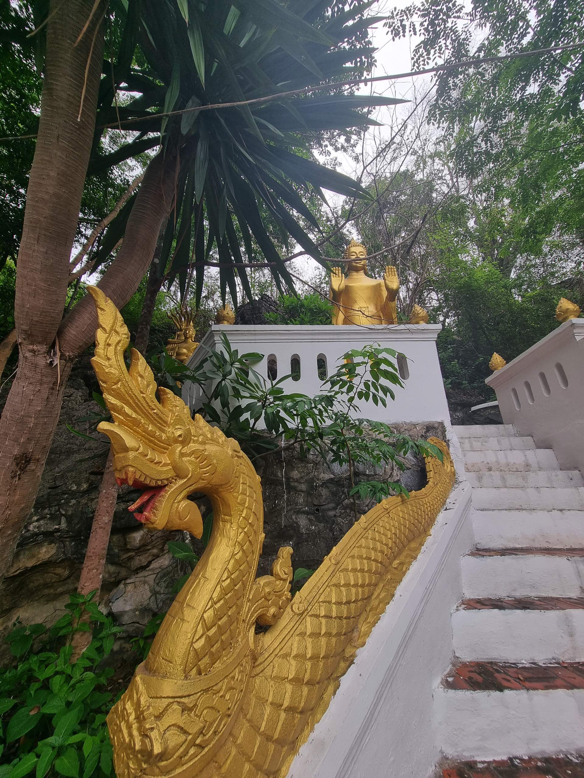 Why You Should Climb Phousi Hill in Luang Prabang Laos | Dbs travels