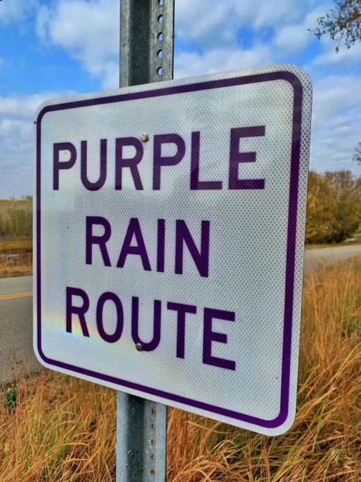 Minneapolis City Guide: Exploring Prince's Playground Like a Pauper ...